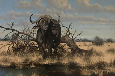 Nico Coetzee | Artists - The Viewing Room Art Gallery at St. Lorient ...