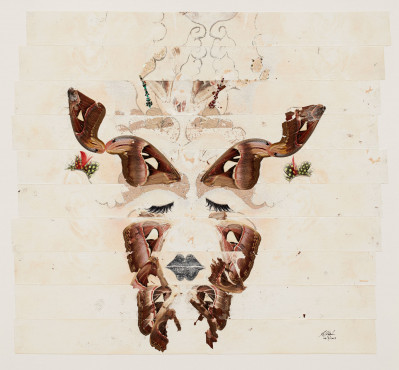 MOLYNEUX’S PROBLEM >|:|